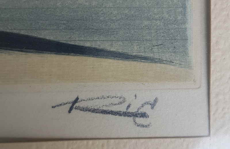 RIC Radierung Vögel