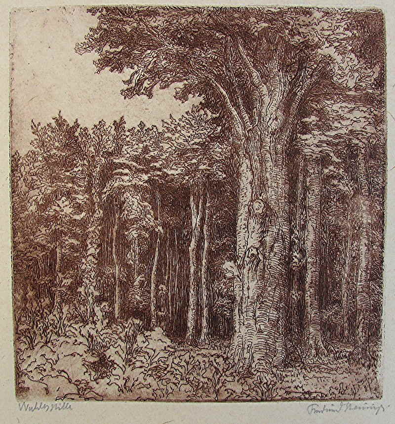 Steininger Ferdinand 1882 Leipzig Dresden
